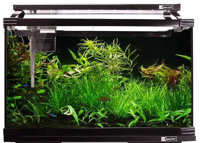 Step-by-Step Guide: How to Change the Water in Your Fish Tank – We Know ...