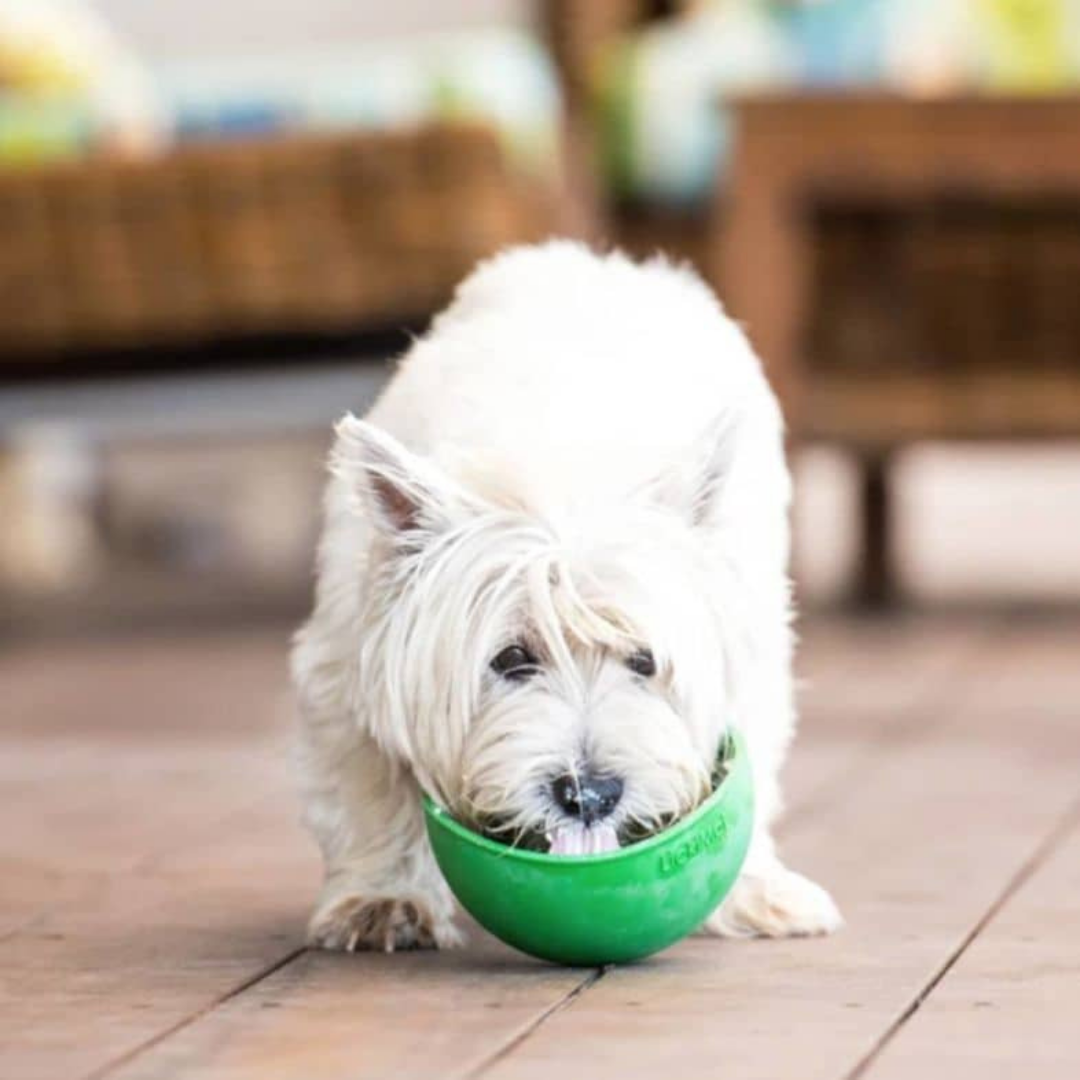 Top 5 delicious Lickimat recipes for dogs – We Know Pets