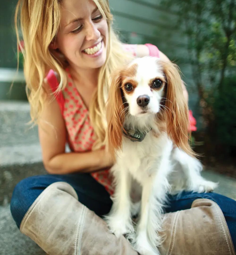 How Do Wireless Pet Containment Systems Work? – We Know Pets